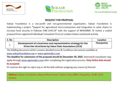 Consultancy – Sukaar Foundation